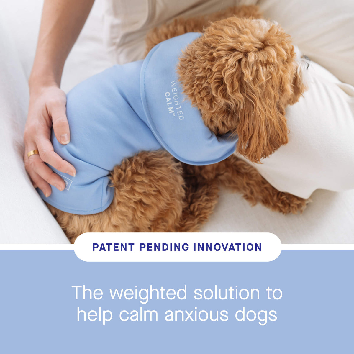 Calming Vest for Dogs - Canada Pooch