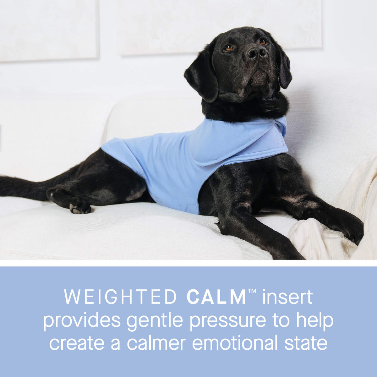 Calming Vest for Dogs - Canada Pooch