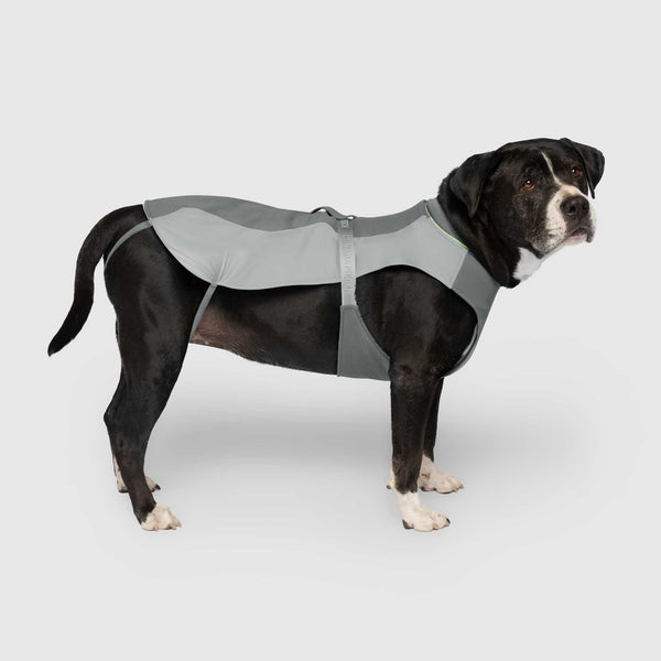 Max Chill Dog Cooling Vest | Lightweight & Breathable Summer Gear for ...